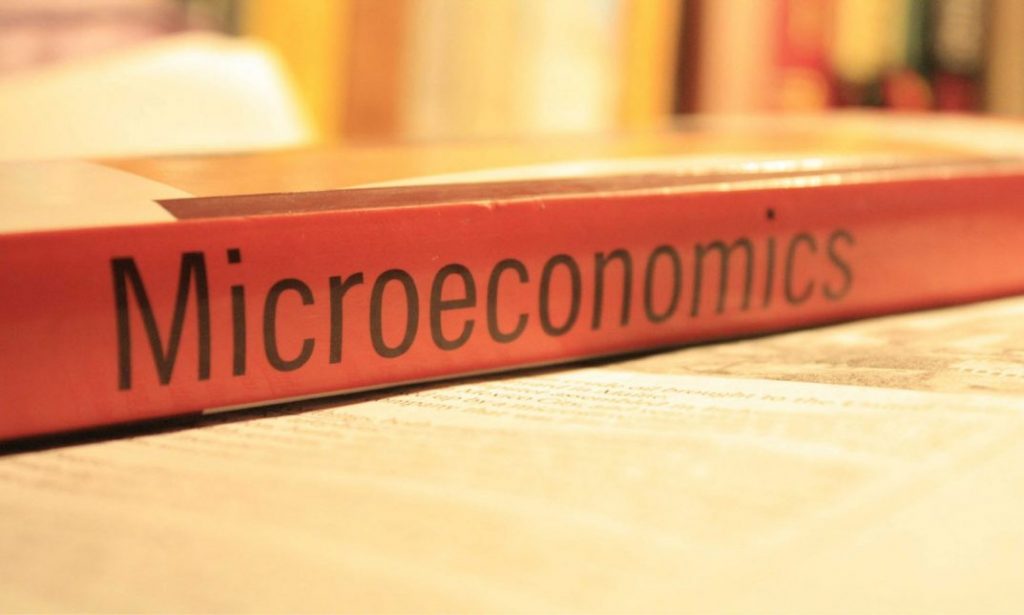 Top 8 Microeconomics Books For Beginners - Financial Talkies